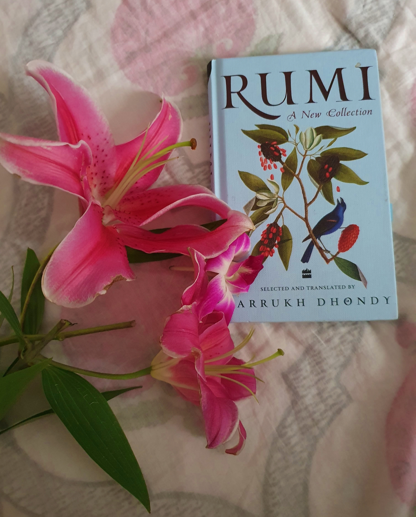 The Poetry of Rumi: Book review of translations by Farrukh Dhondy ...