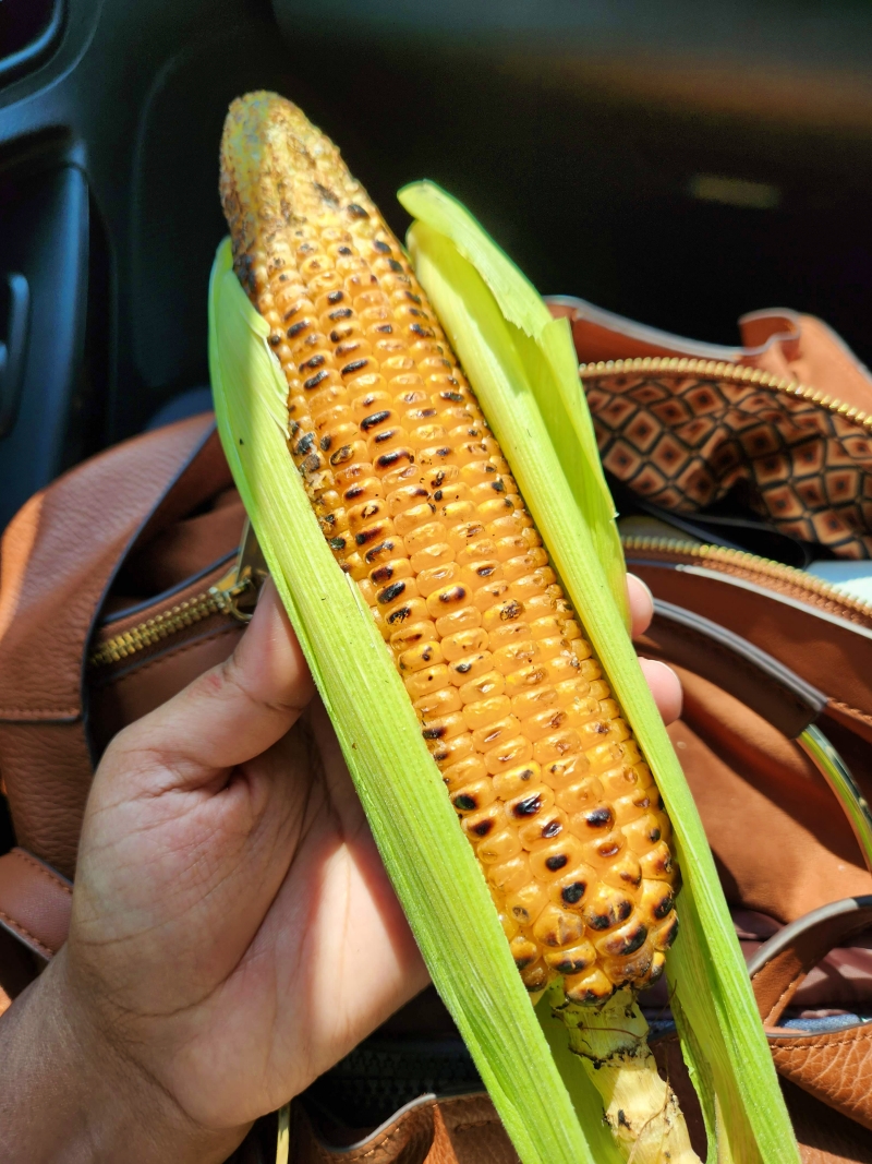 Weekend Stay in Hyderabad: Angirasa—Luxury Camping – Love, Life, & Beyond