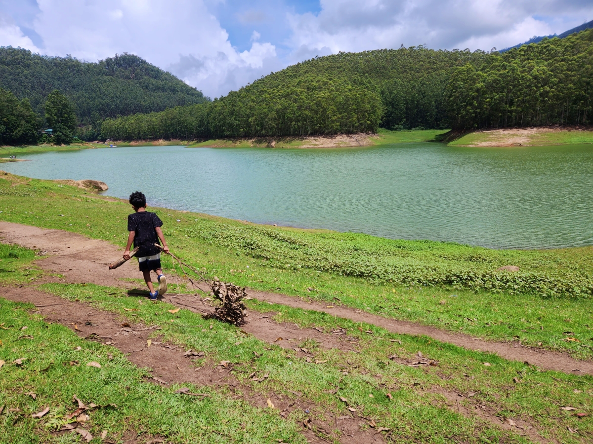 Road Trip from Cochin to Munnar in June for the Monsoon Vibes – Love ...